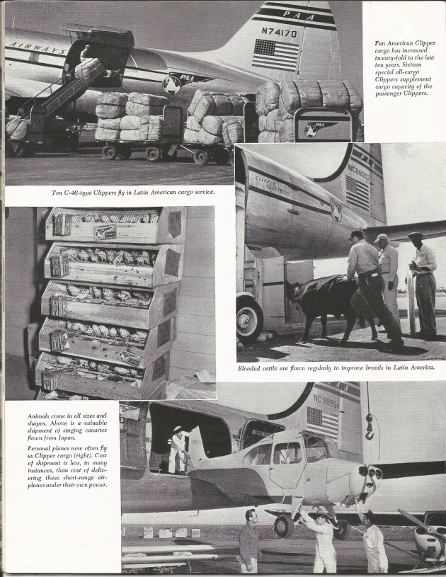 Pan Am Series – Part XXVII: Clipper Cargo | JPB TRANS CONSULTING, LLC